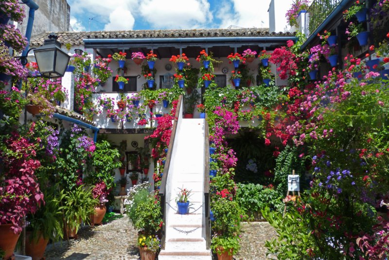 Patio-tour in Barrio San Basilio